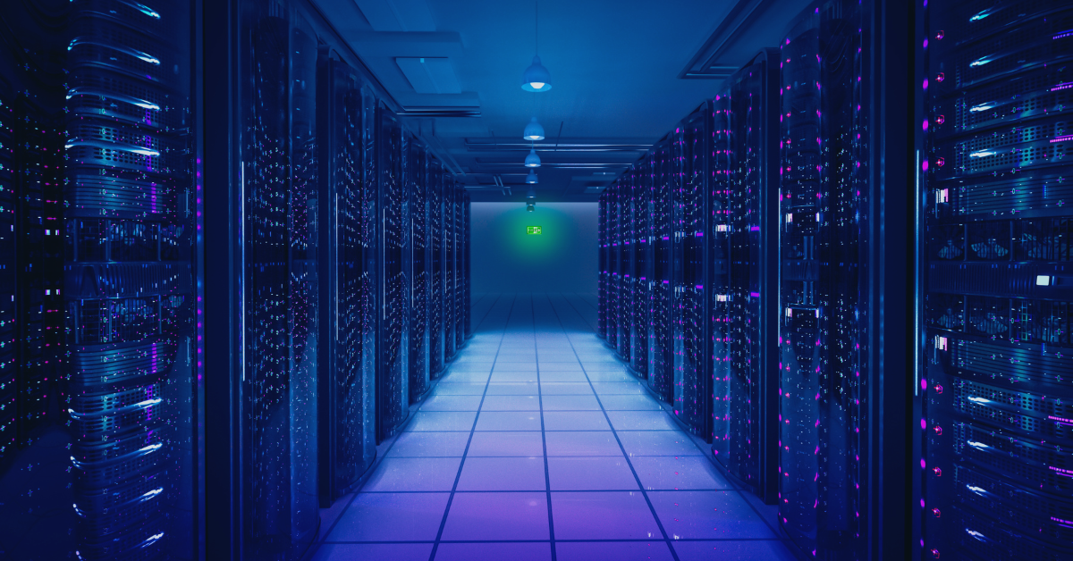 The IP Network: Challenge or Opportunity?